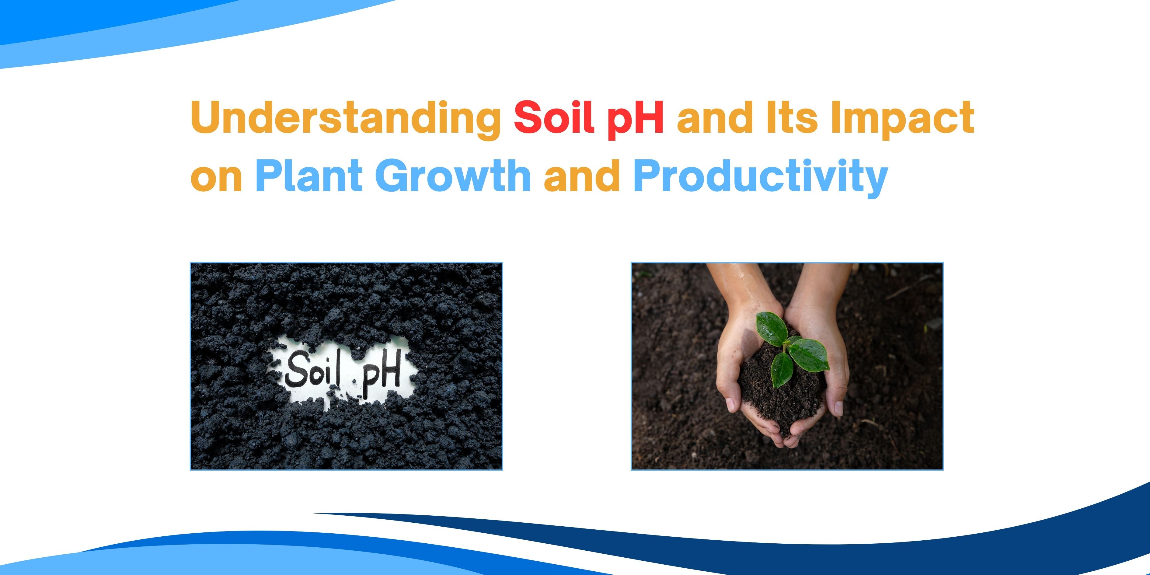 Understanding Soil pH and Its Impact on Plant Growth and Productivity ...