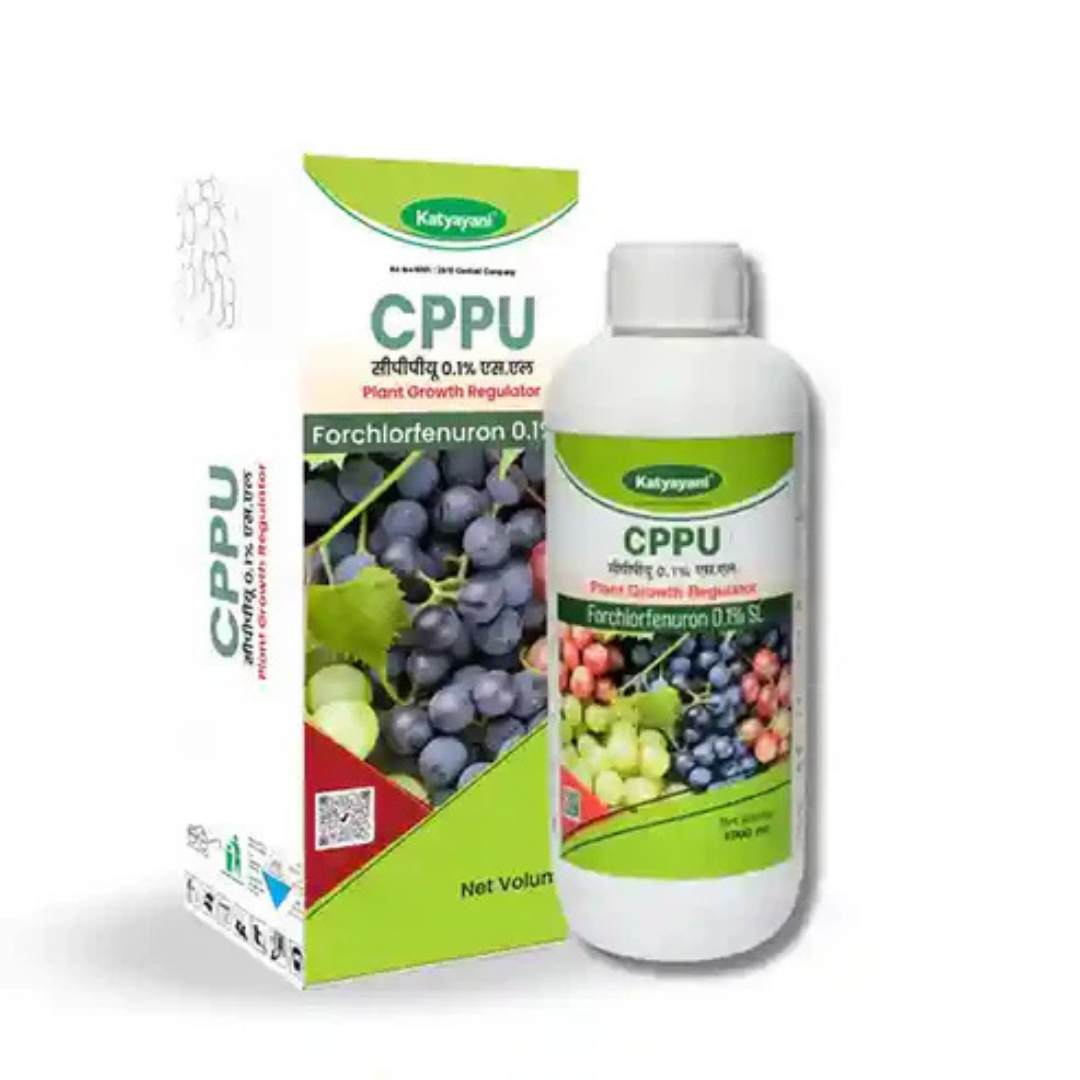 Katyayani CPPU | Forchlorfenuron 0.1 % L | Plant Growth Regulator – Khethari