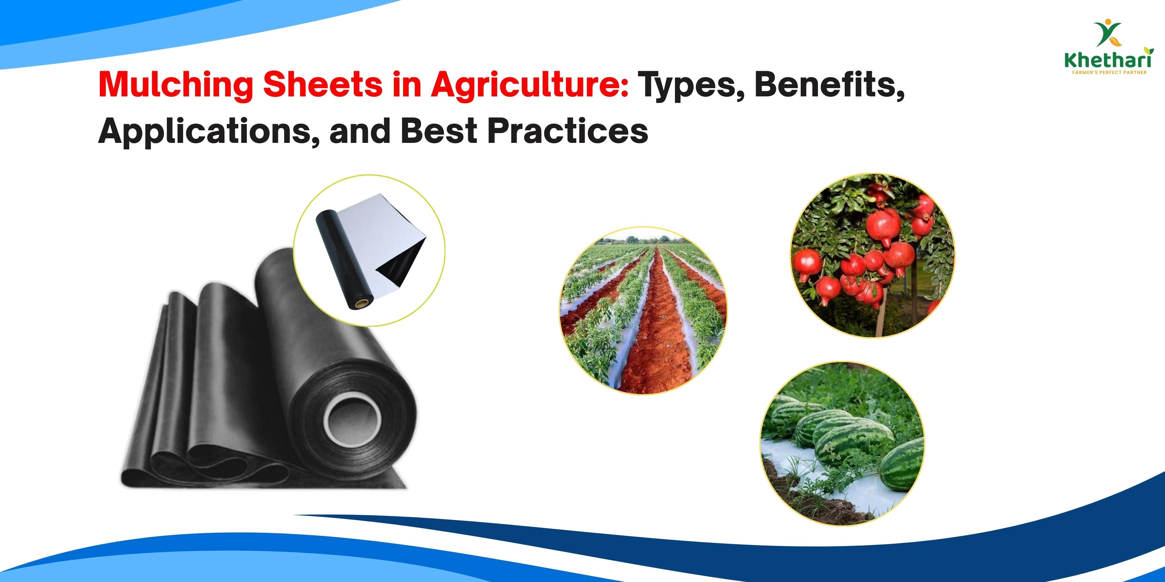 Mulching Sheets in Agriculture: Types, Benefits, Applications, and Bes ...