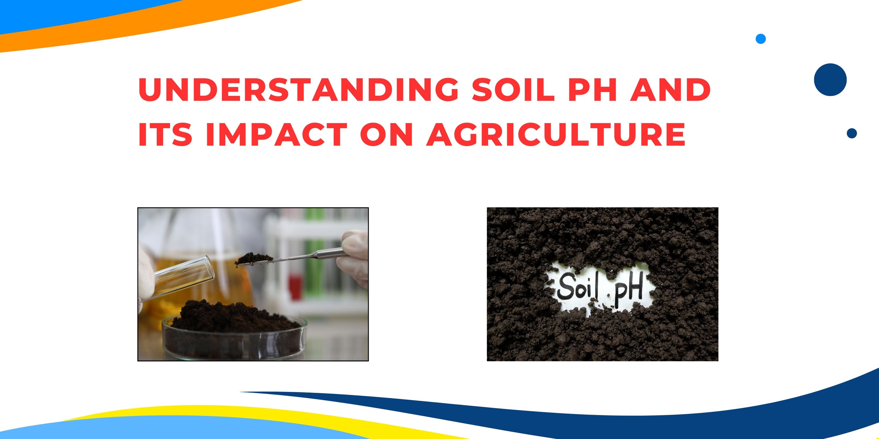 Understanding Soil pH and Its Impact on Agriculture – Khethari