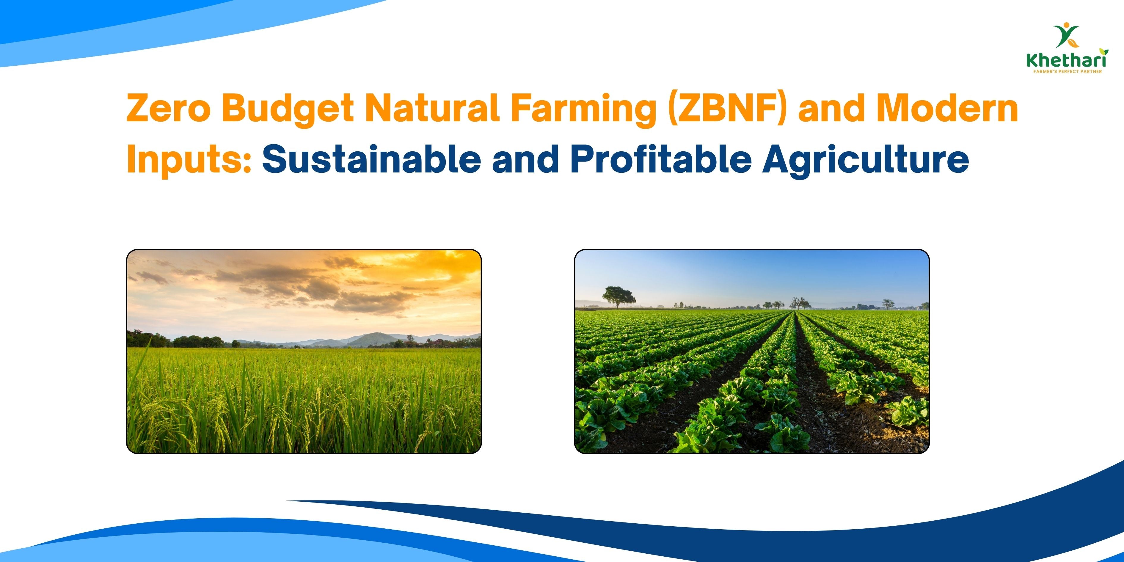 Zero Budget Natural Farming (ZBNF) and Modern Inputs: Sustainable and ...