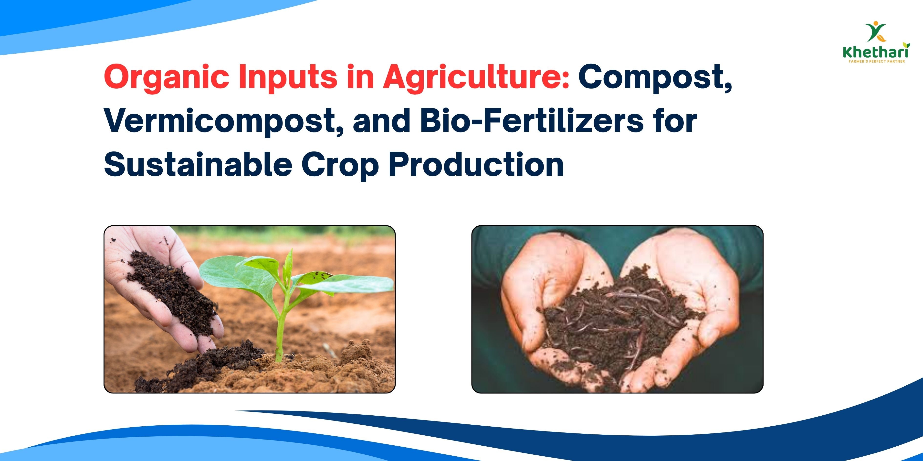 Organic Inputs in Agriculture: Compost, Vermicompost, and Bio-Fertiliz ...