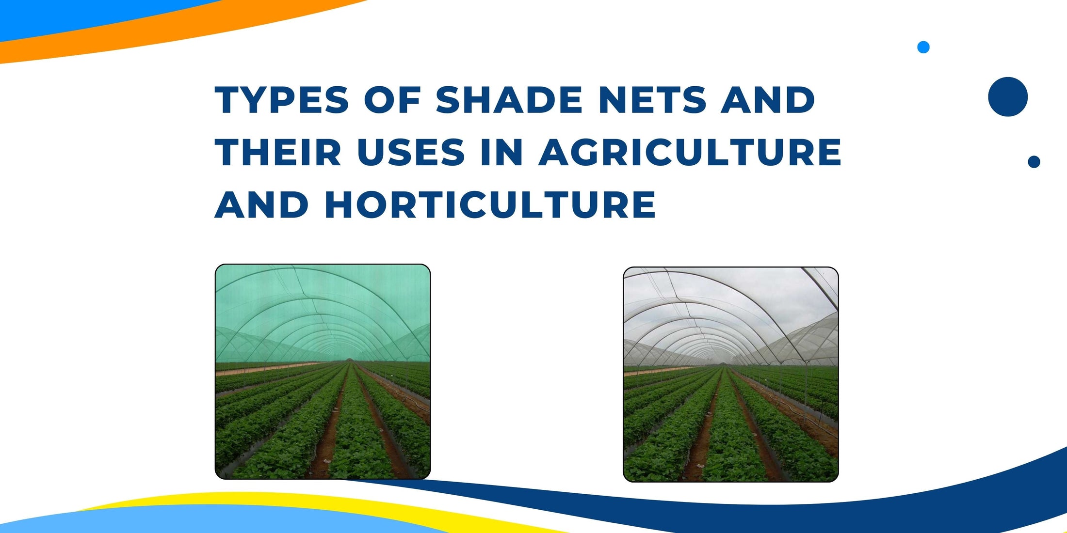 Types of Shade Nets and Their Uses in Agriculture and Horticulture ...