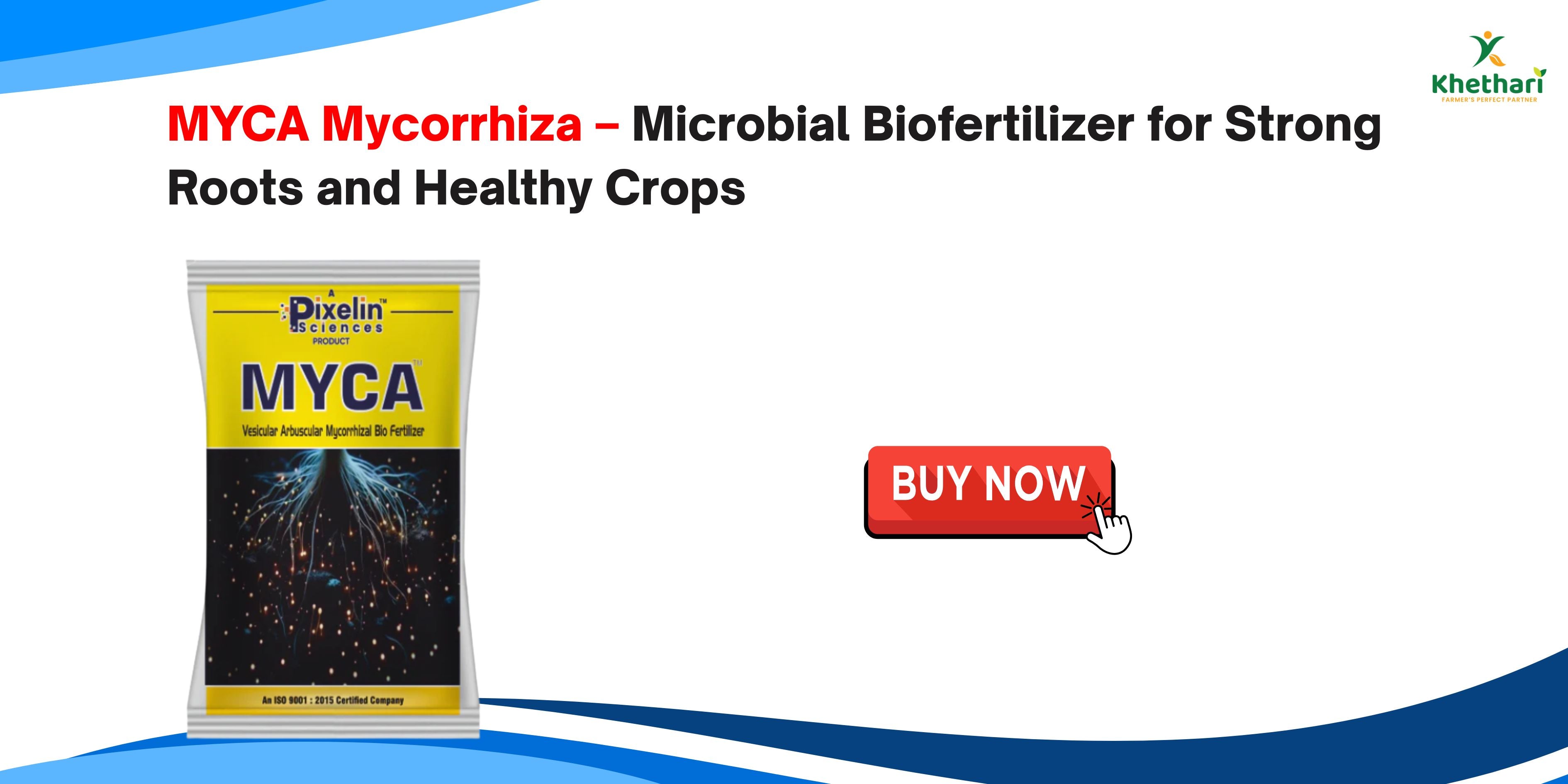 MYCA Mycorrhiza – Microbial Biofertilizer for Strong Roots and Healthy ...
