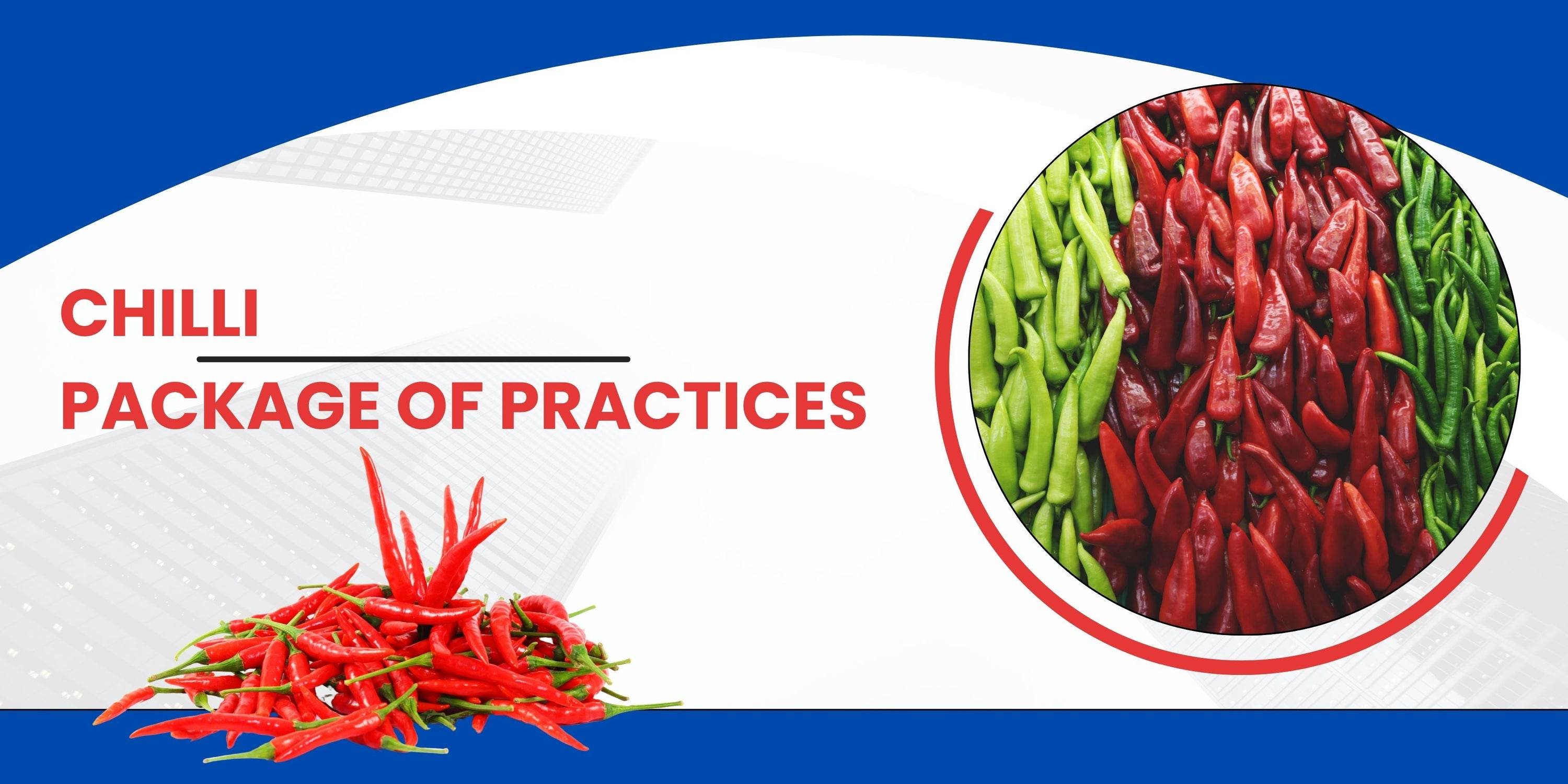 CHILLI PACKAGE OF PRACTICES – Khethari